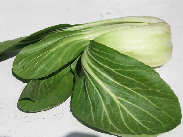 bokchoi2 - Occupe-toi de tes oignons